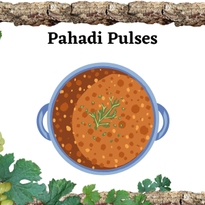 Pahadi Pulses – Pahadinaturals